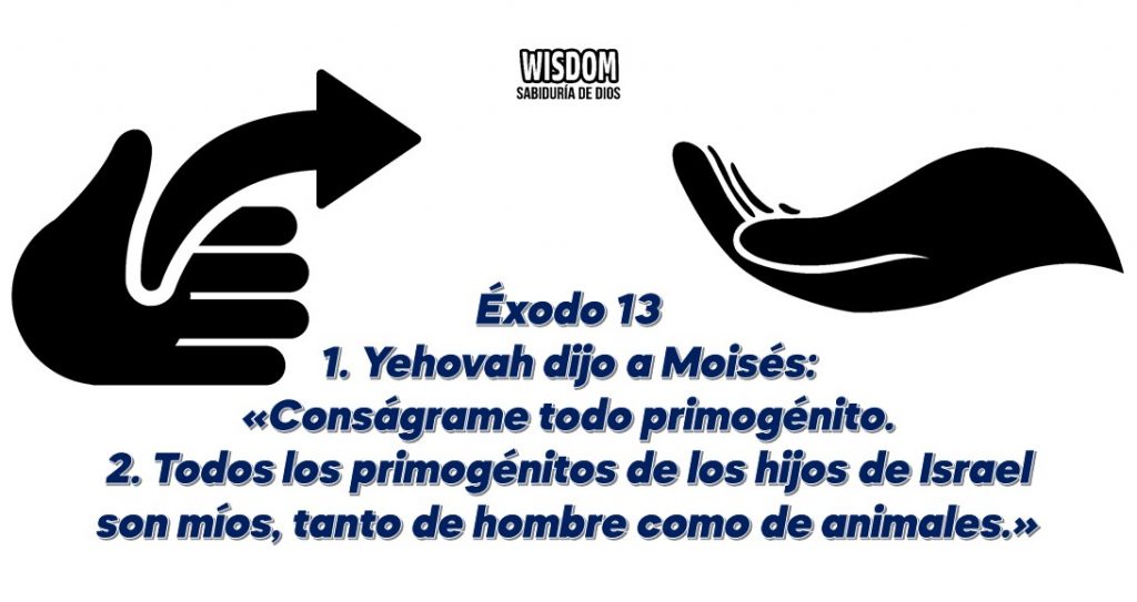 Éxodo Capítulo 13 - Mosqueteros de Yehovah